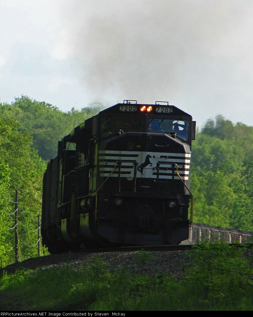 NS 7202